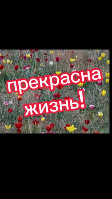 С добрым утром, улыбнись!