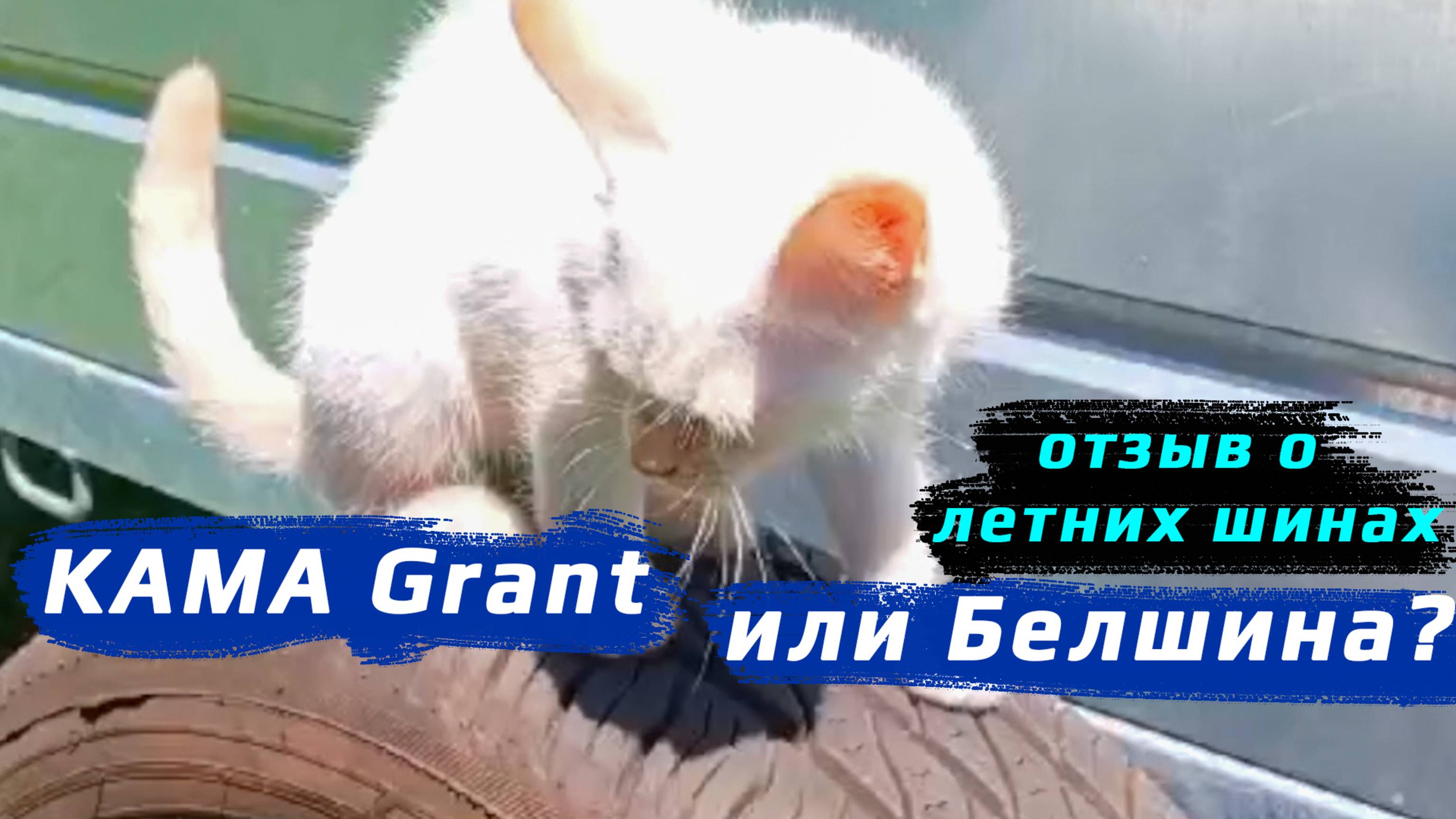 КАМА Грант или Белшина – какие летние шины больше понравились?