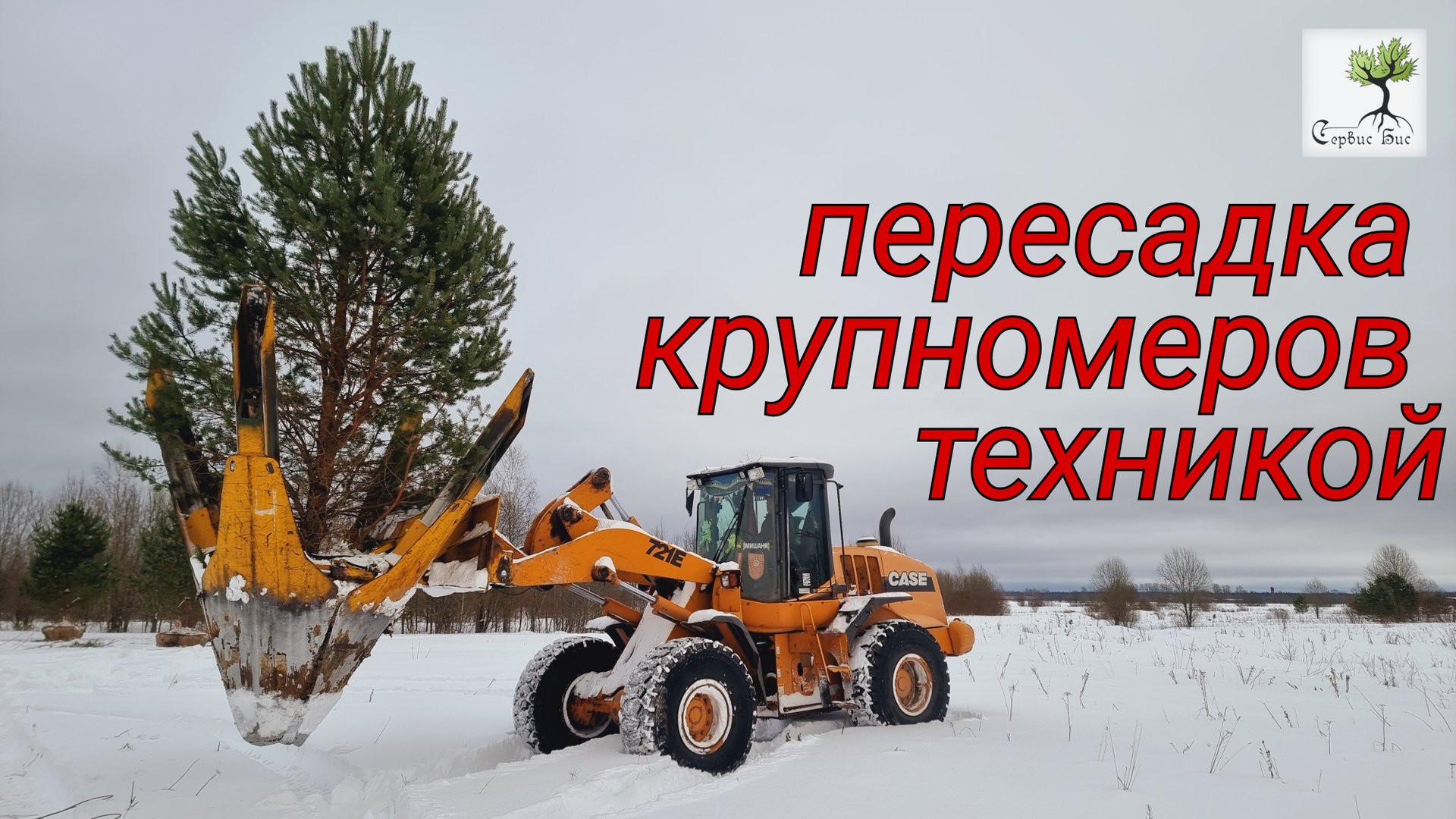 Пересадка деревьев техникой (пересадчик деревьев) от компании Сервис БиС