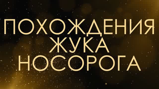 Похождения Жука Носорога - Асмик Бакунц (клуб авторов)