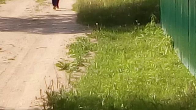 2017г.Ольга дача место силы