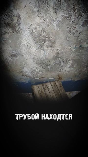 😈 ХАЛЯВНЫЙ БРОНИК В СТАЛКЕРЕ | STALKER Тень Чернобыля