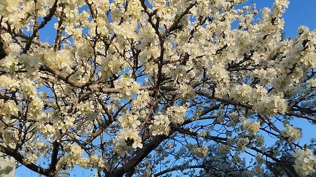 Красота и милота.