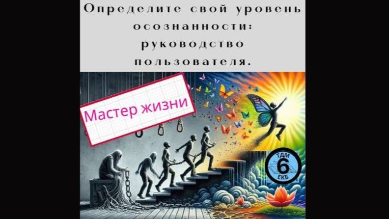 Определите свой уровень осознанности: руководство пользователя 6.