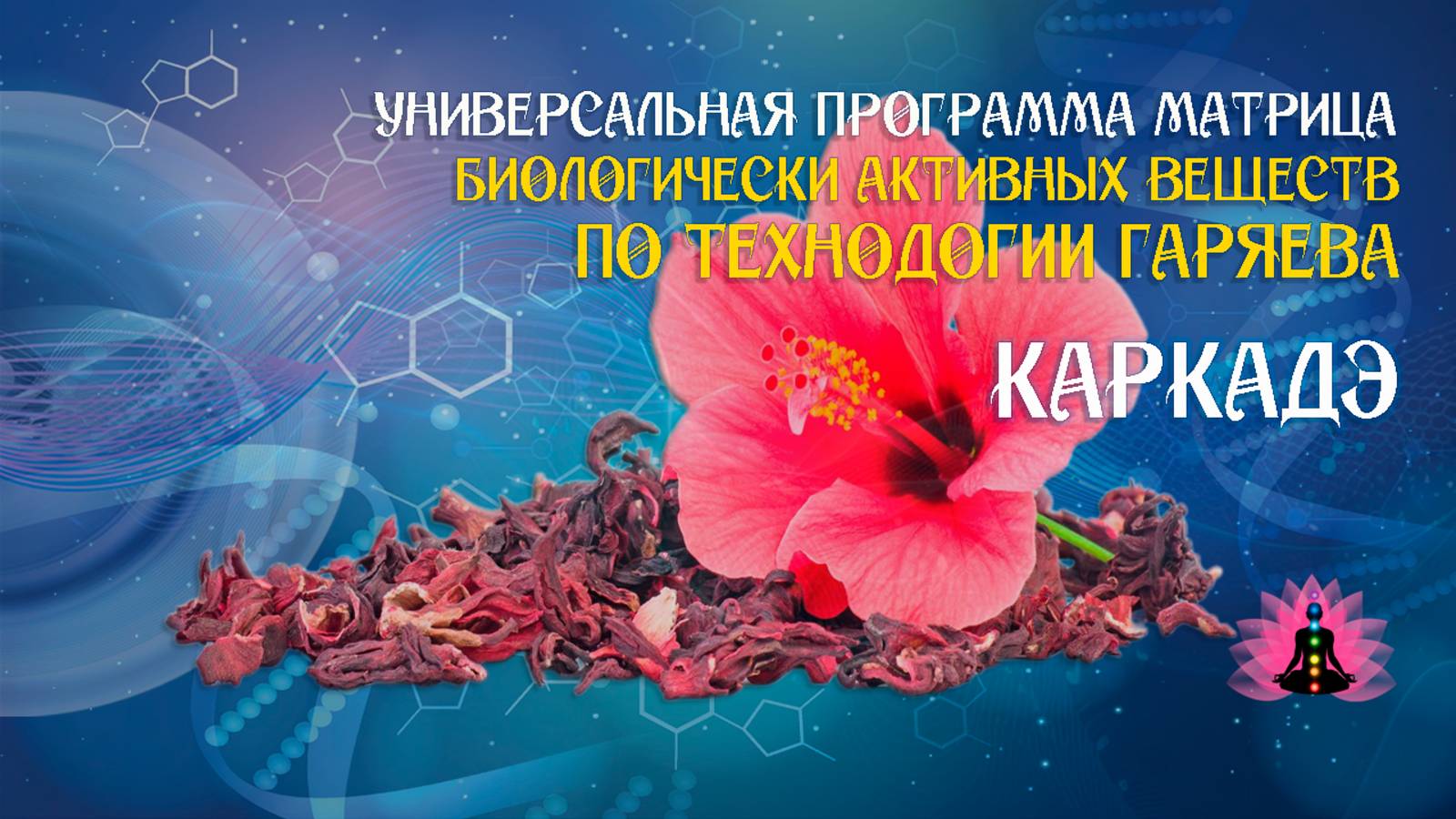 Каркадэ 🔊 программа матрица по технологии Гаряева П.П ☀️ SoftRadio.ru