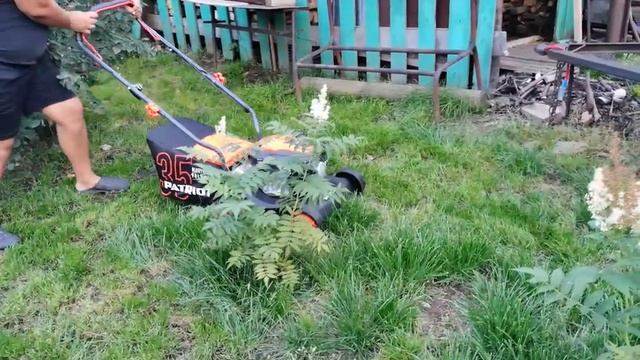 Проверка работы газонокосилки Patriot PT 40