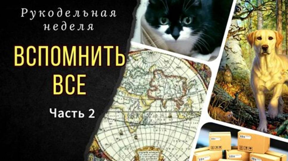 Вспомнить все_Покупки_Финиш_Блокировка салфетки_Смешные моменты