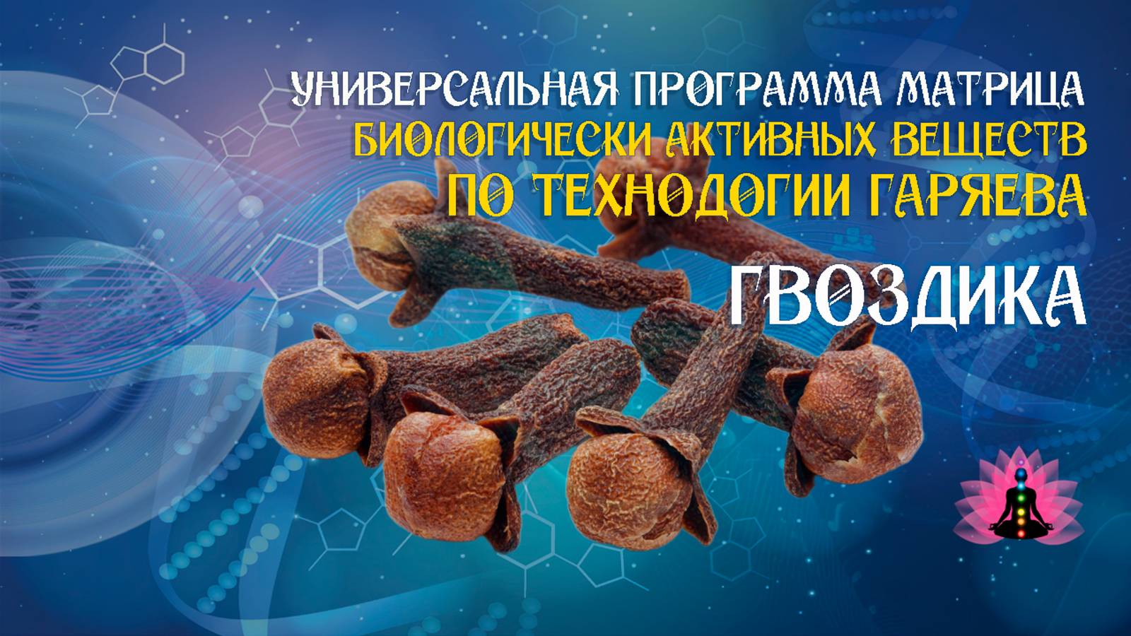 Гвоздика 🔊 программа матрица по технологии Гаряева П.П ☀️ SoftRadio.ru