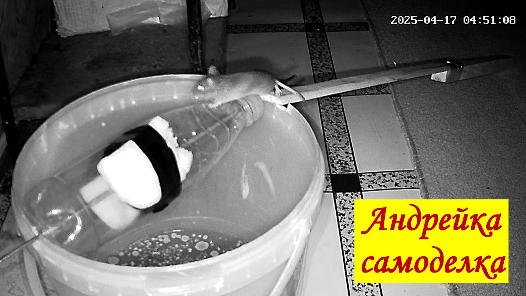 Мышеловка многоразовая  за  5 минут