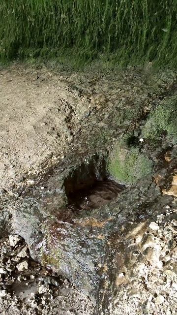 Белая скала, грот Кок-Коба. Крым.