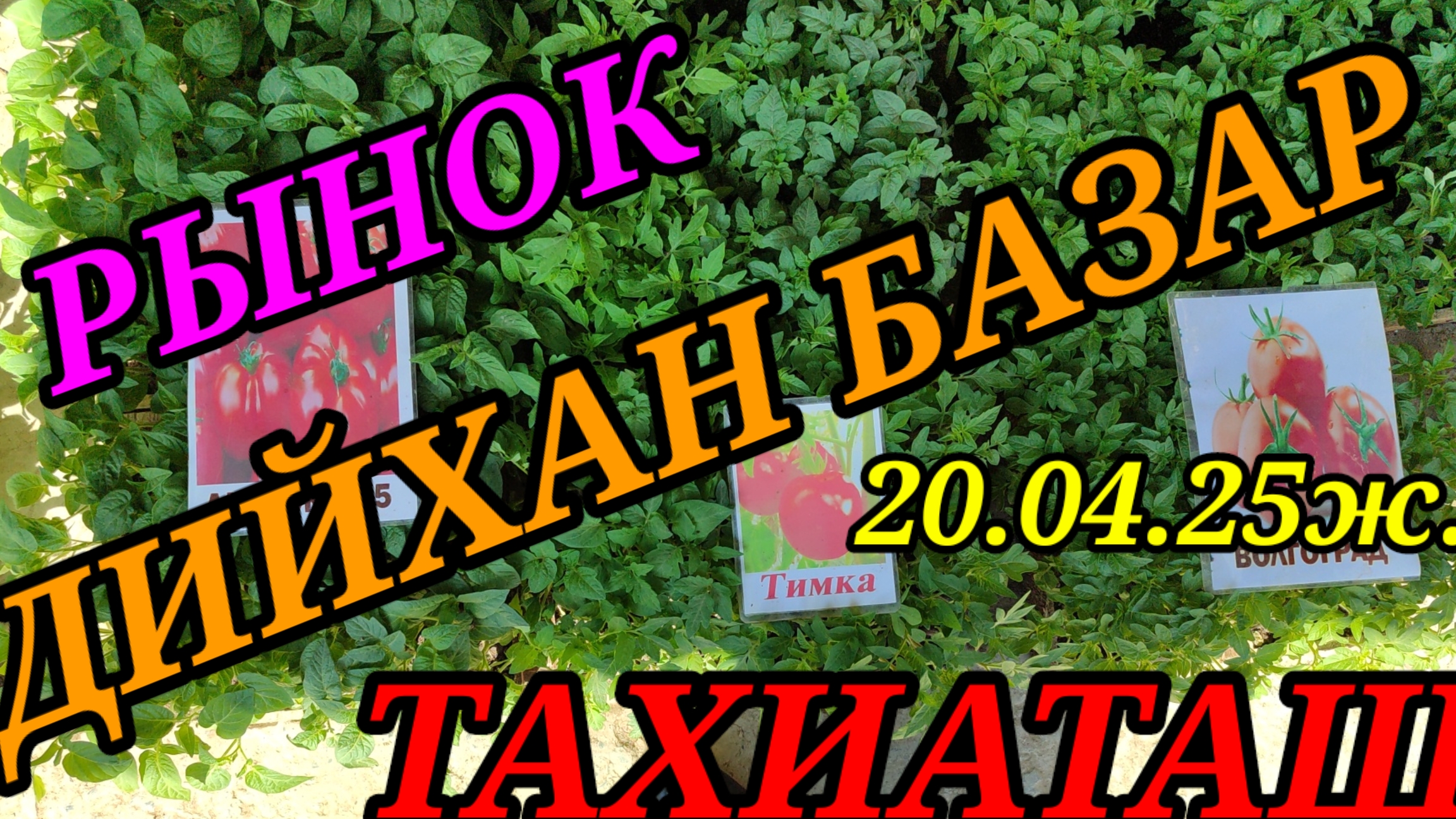 21-04-2025 РЫНОК-БАЗАР