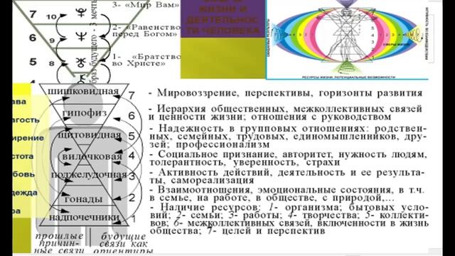Инновационные технологии ранней диагностики и профилактики заболеваний через программу Гиппократ.