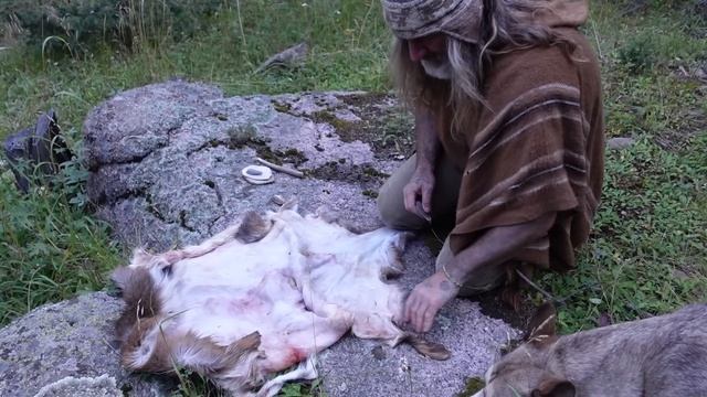 🎬 Первобытные технологии: обработка шкур в каменном веке.