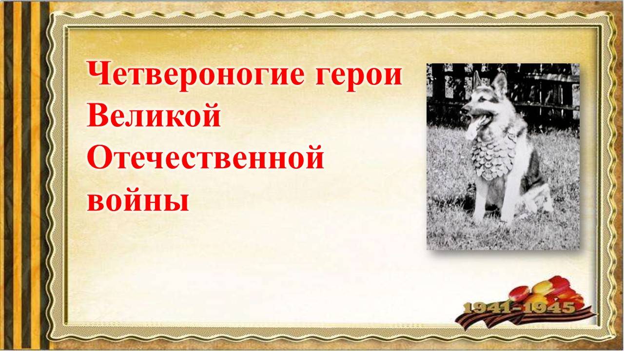 Четвероногие герои Великой Отечественной войны