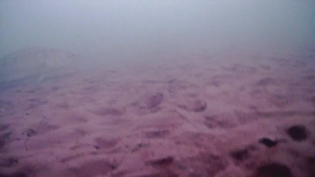 1000008111.mp4