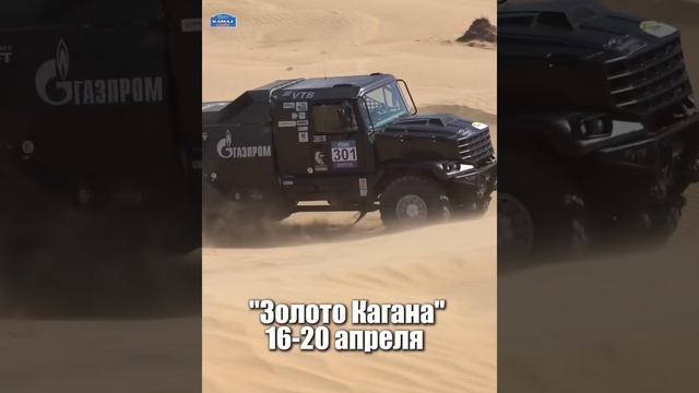 Болеем за наших! Как КАМАЗ-мастер готовились к гонке Золото Кагана 2025