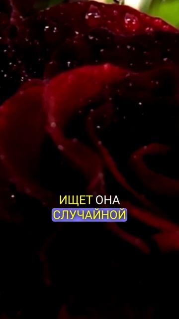 Стих  о любви / всегда любите... #shorts #стихпролюбовь