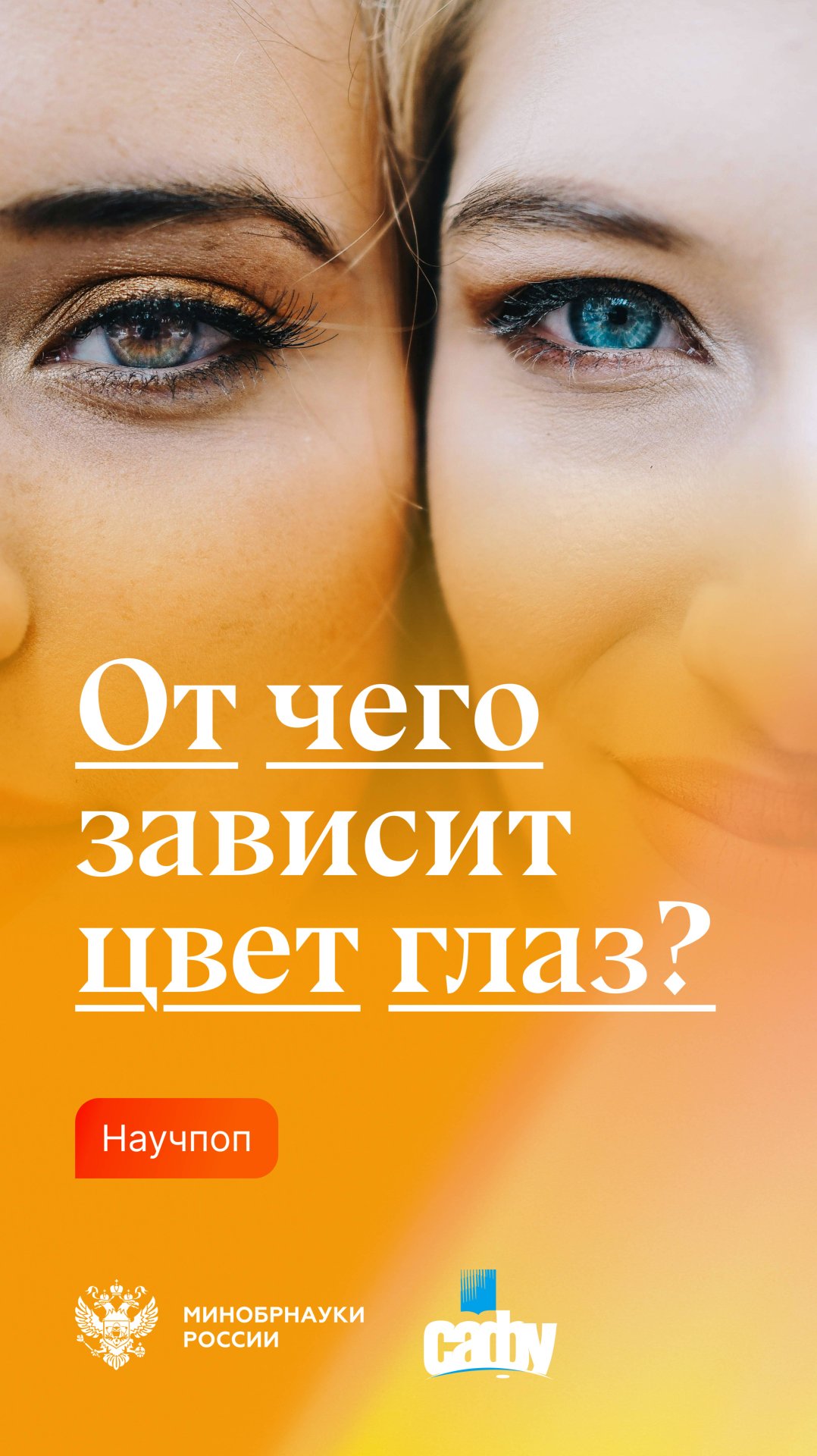 От чего зависит цвет глаз?