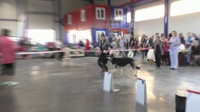 Ольвал Дэнис Румба