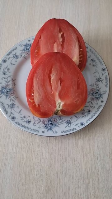 Первый сбор томатов _Семейное счастье_, несколько штук и полведра вкусных помидор на столе