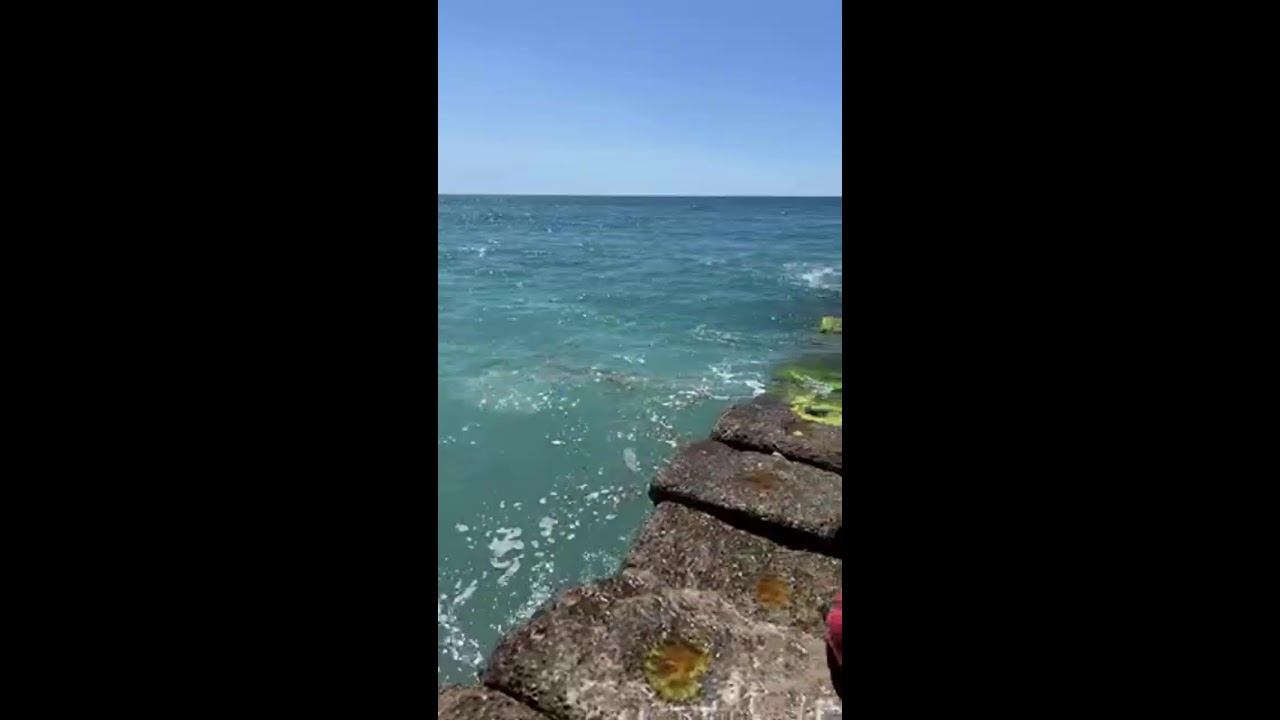 VilenV в прямом эфире!