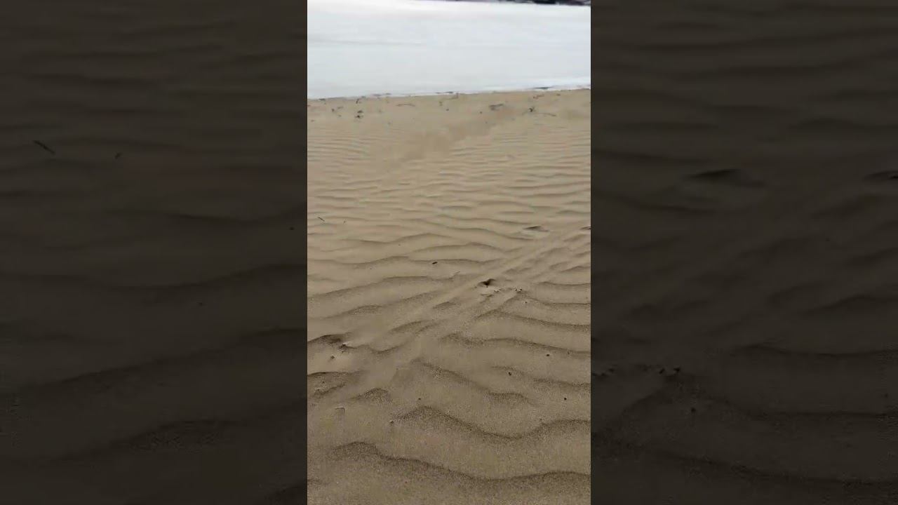 Зимняя река Ахтуба #live #shorts #river #winter #water #sand