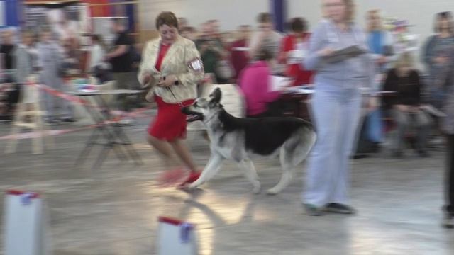 Сравнение  открытого класса