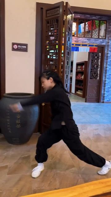 Боевые искуства Китая (283)