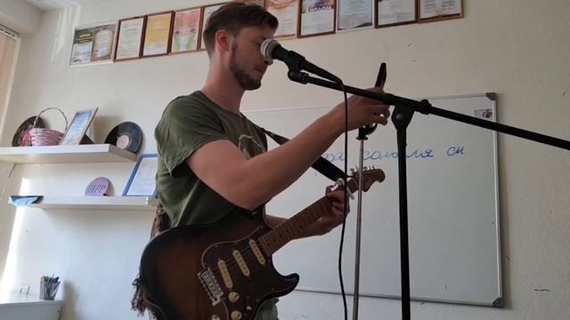 Слава Скрипка - Бобр (Guitar cover)