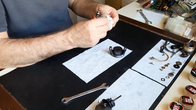 Ryobi Nort Spiritual - DX 800. Часть 1.