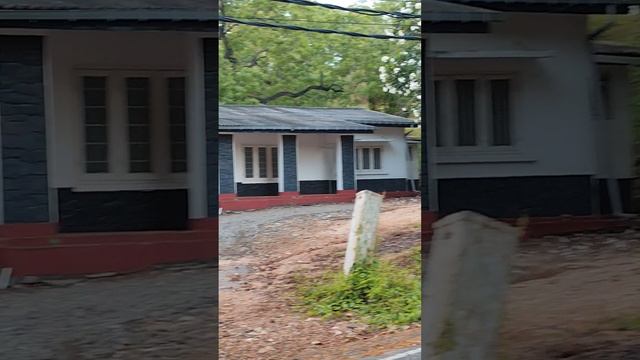 Обезьяны, олени и собаки - жители Тринкомале 🐒🦌🐕