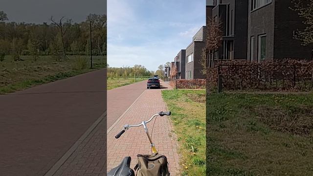 Тропарь святому Кириаку