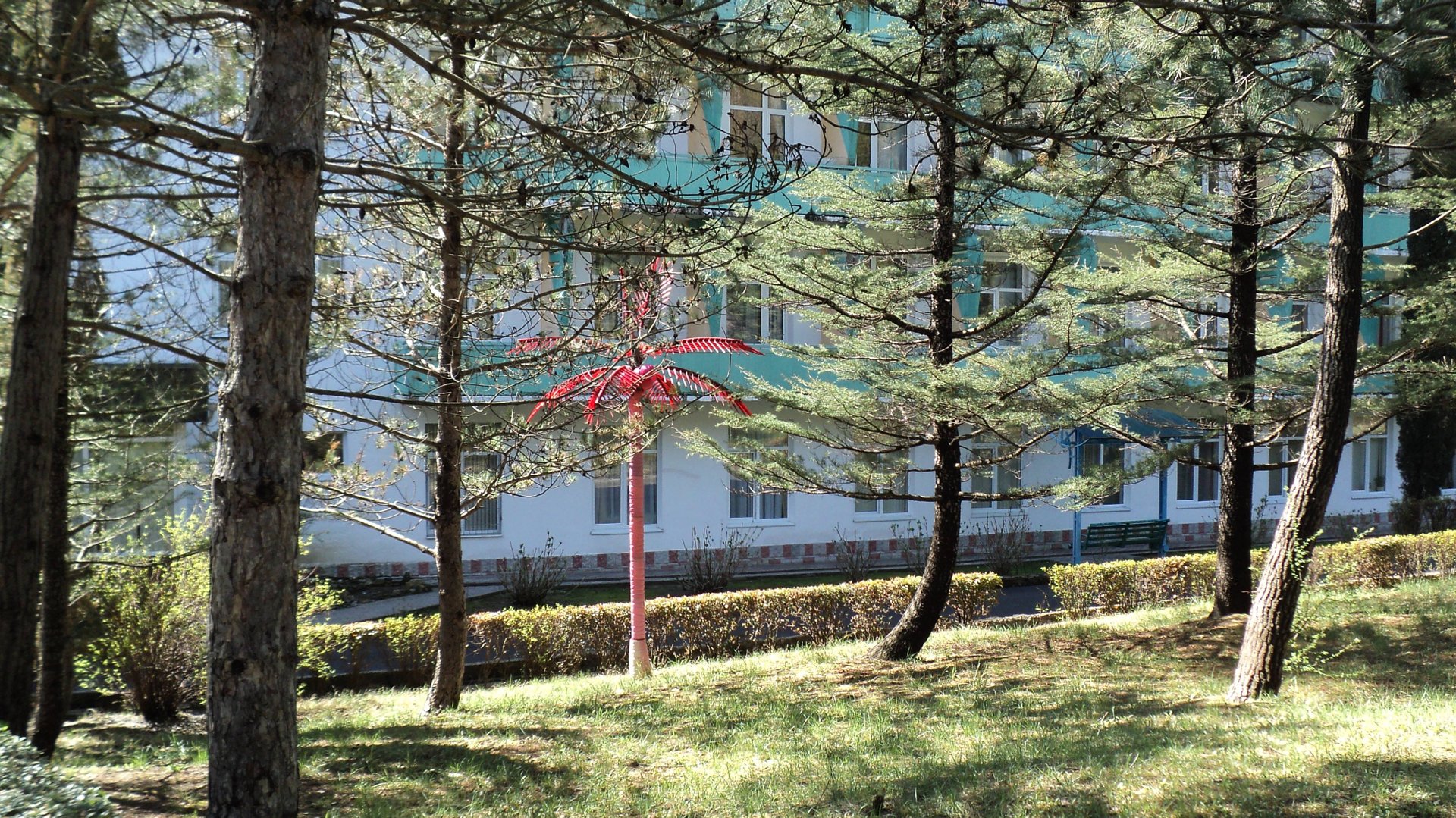 санаторий Сосновый город Туапсе 1 Здравствуй Сосёнковский