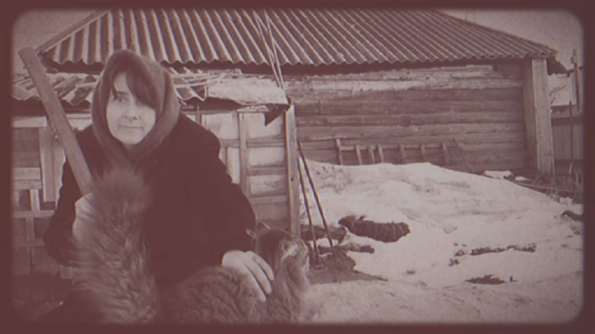 Живые письма отгремевшей войны .