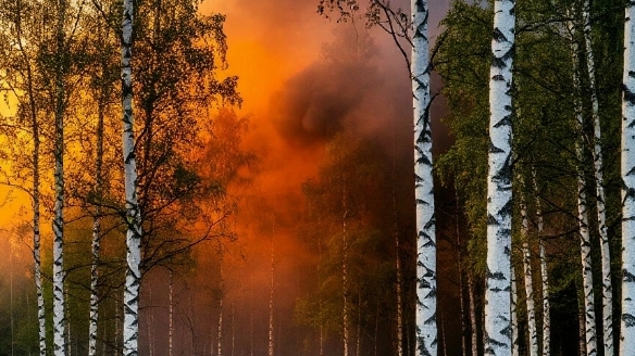 Тунгокоченский район . Тайга горит