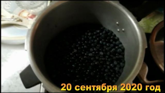 Грибной и яблочный год. Хроника 19 сентября 2020 год