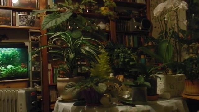 Неожиданный_Стресс__Как_Реагировать ? Рената Смирнова. 2025