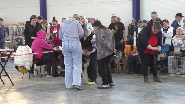 Ветер с Востока Нагайна