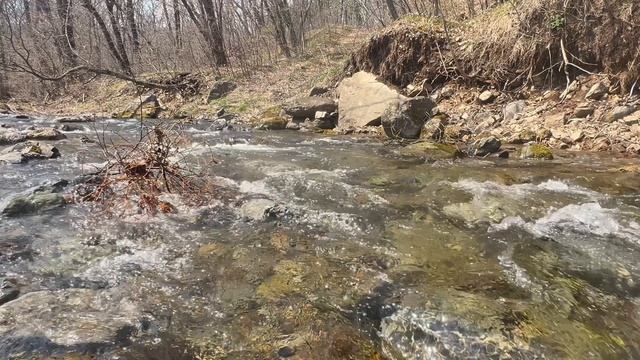 Река Каменка 1-я. Мой город, наша природа