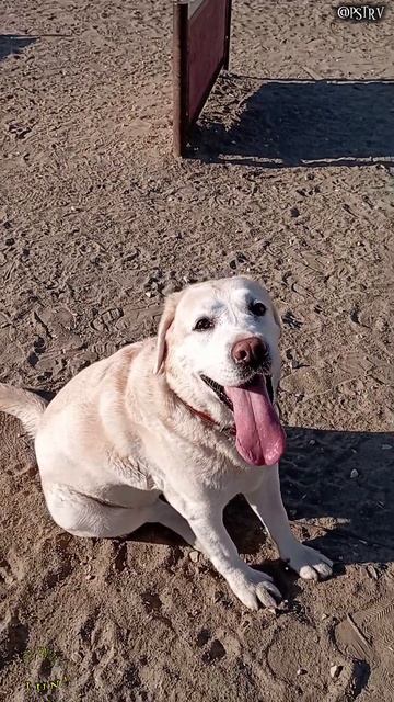 Солнышко и Луна