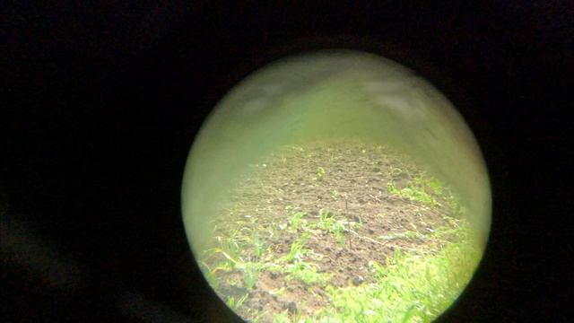 Пасха 20.04.2025.