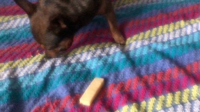 Всем приятного аппетита