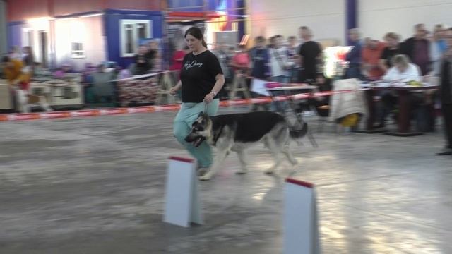 Персей из ИДВ