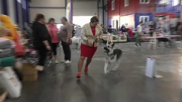 ПС Жемчужина Моей Души