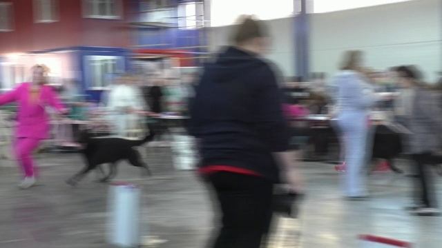 Сравнение рабочего класса