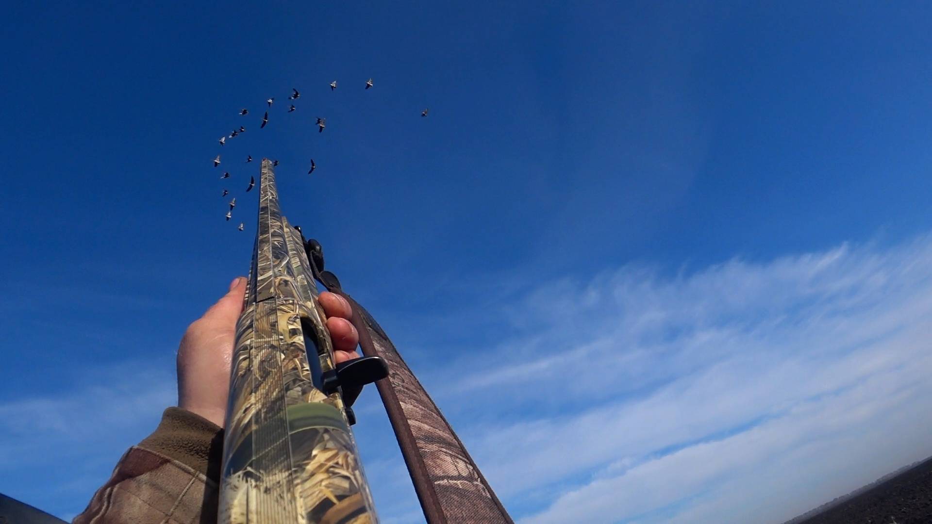 Охота на гуся в одиночку на болоте. Отлично поохотился. Goose hunting alone in the swamp.