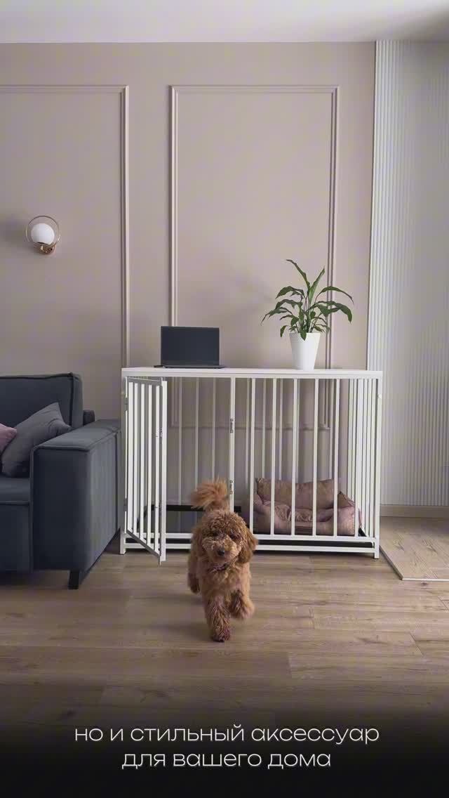 Клетка для собак однодверная белая, усиленные и прочные прутья, поддон