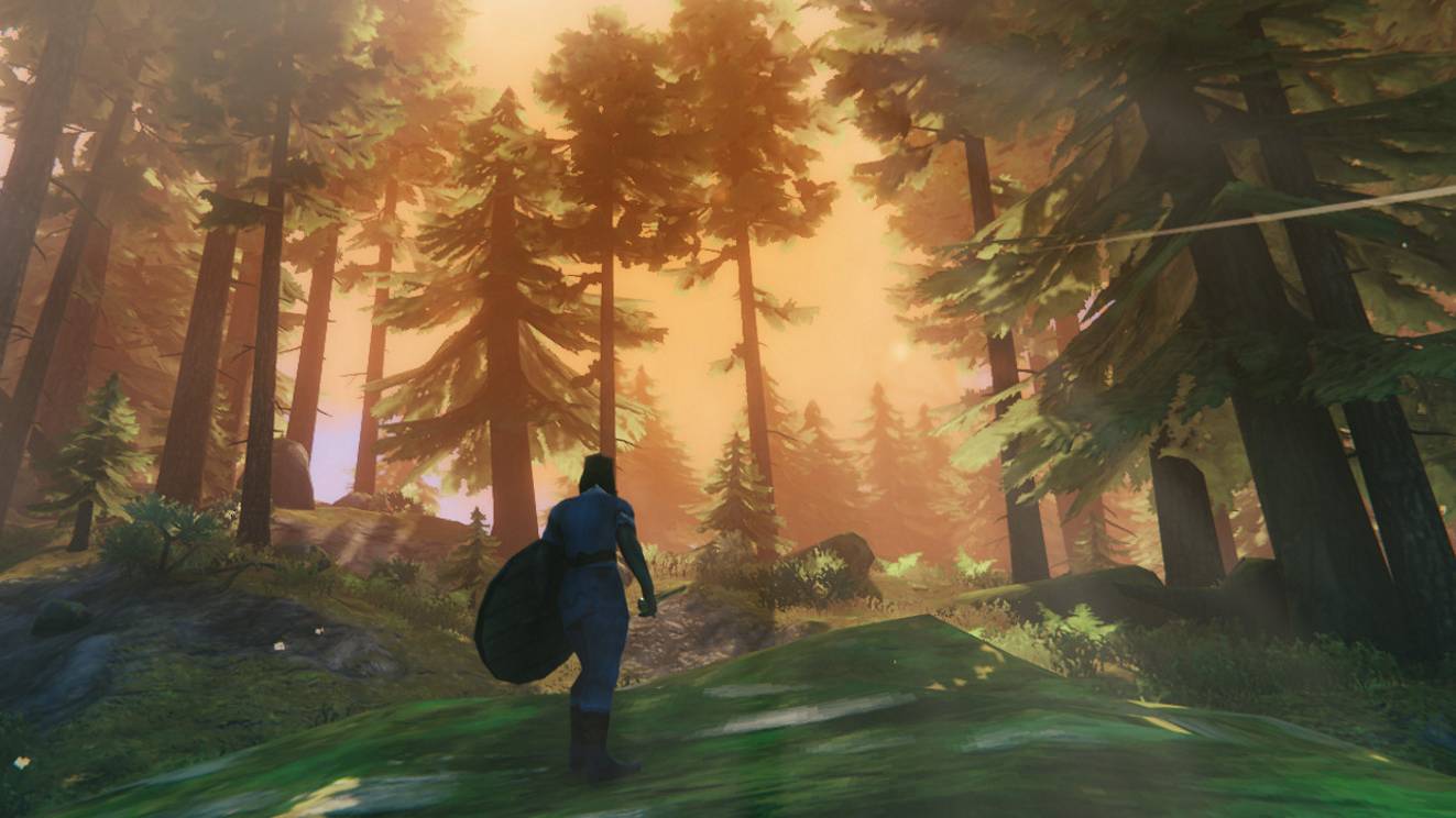 Вальхеймим #6