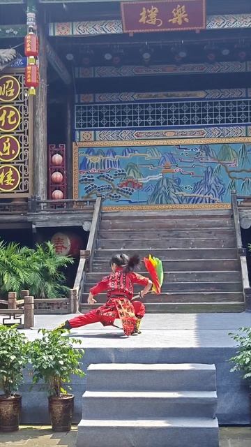 Боевые искуства Китая (295)