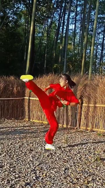 Боевые искуства Китая (280)